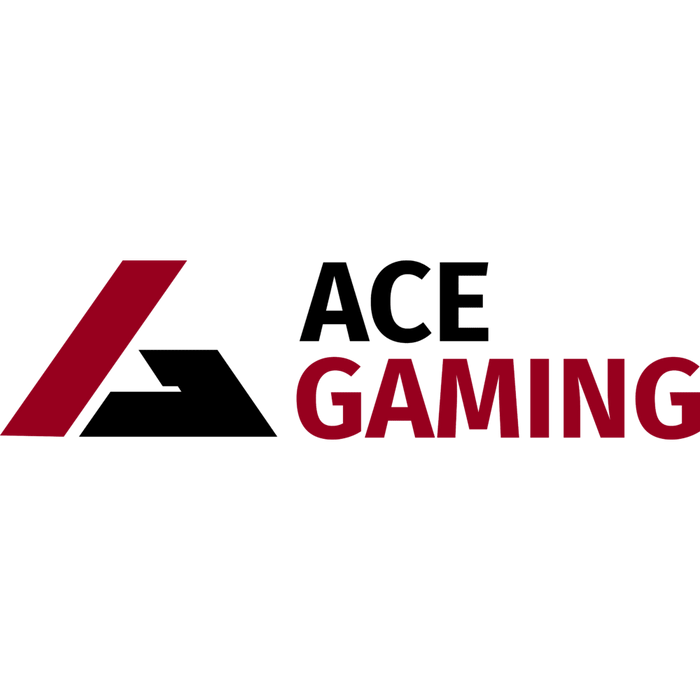 Ace Gaming – GTR Simulator