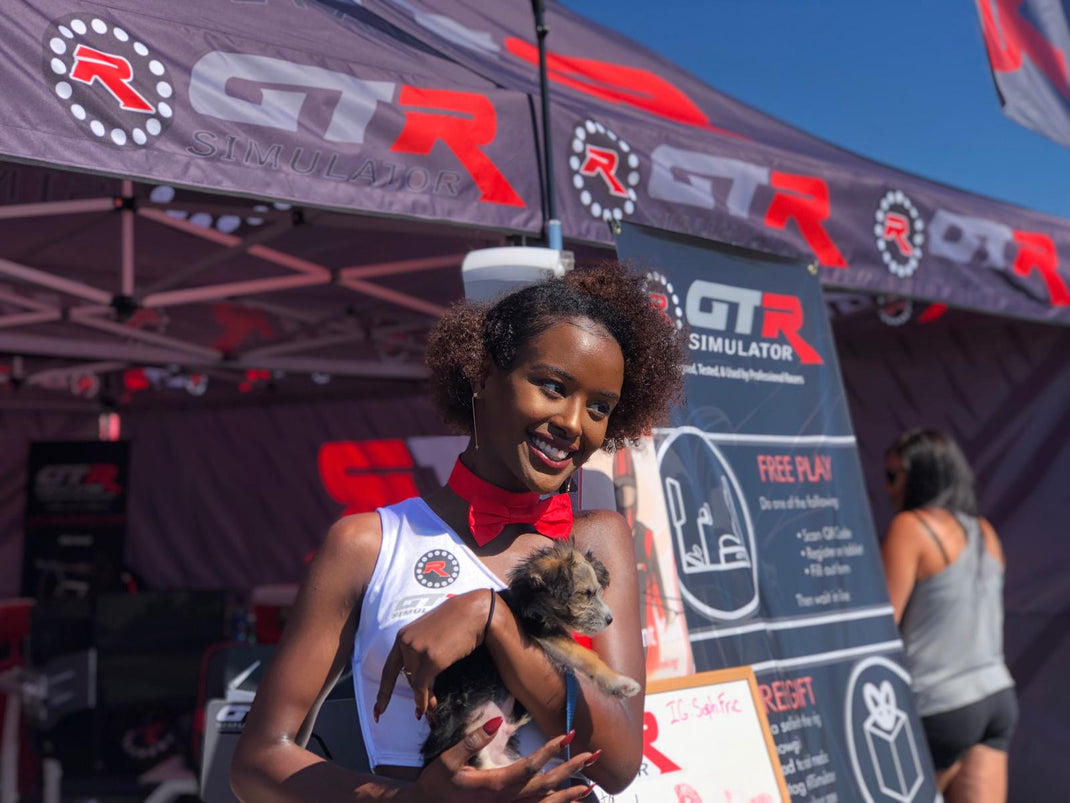 GTR Simulator - Design, Tested, and Used by Professional Racer